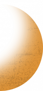 Top Paragon Resources - Top IT Products